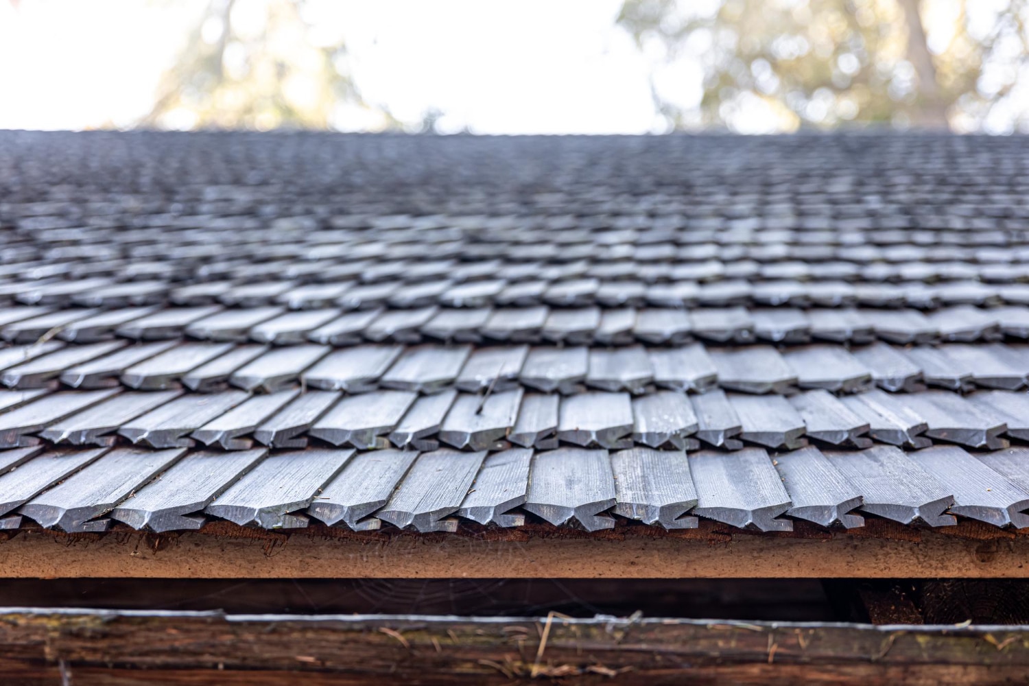 How to Patch Shingles On a Roof? - District Roofing